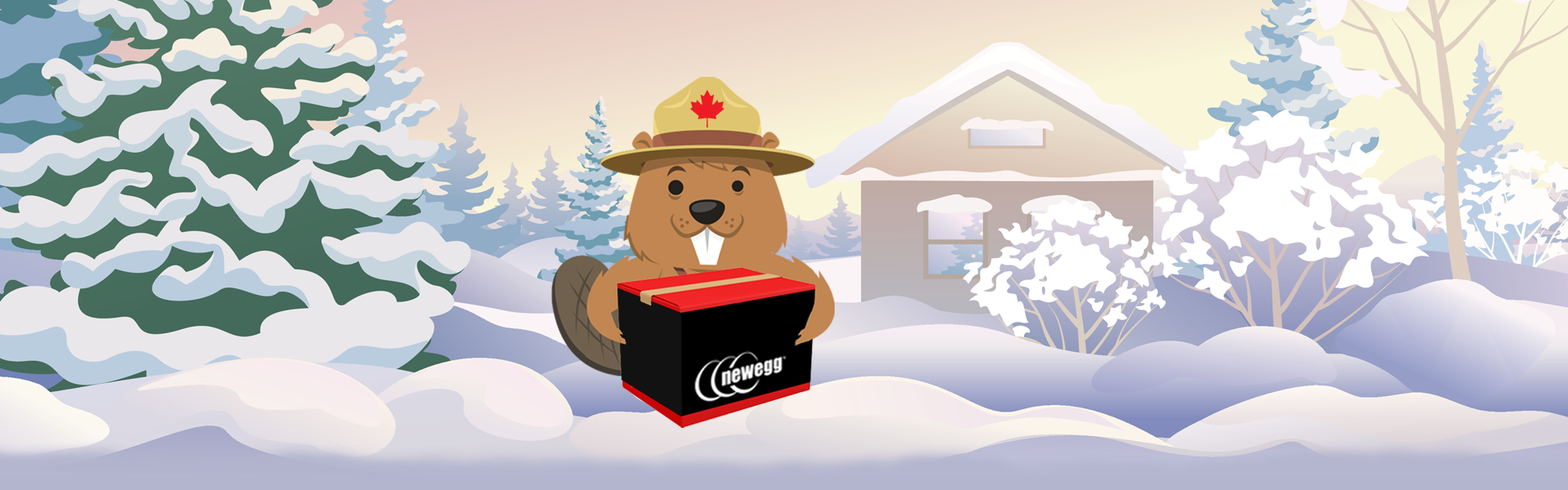 Newegg Celebrates Boxing Day with a Week-Long Sale for Customers in ...
